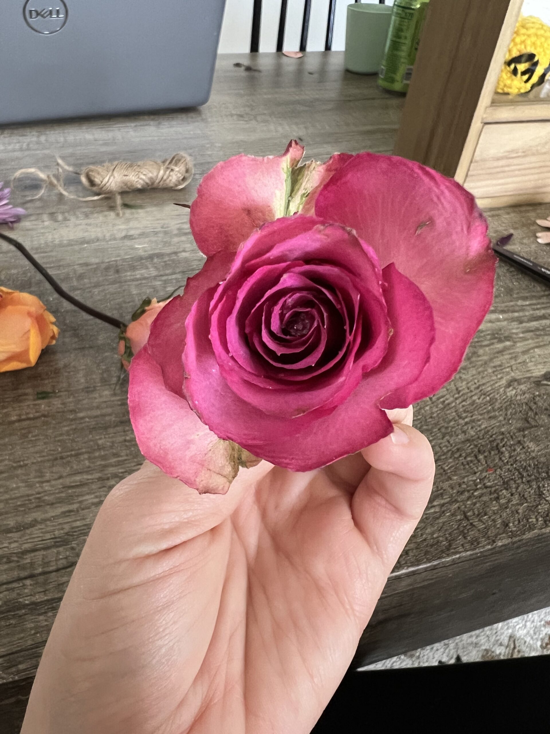 How to Dry Flowers The Best Way